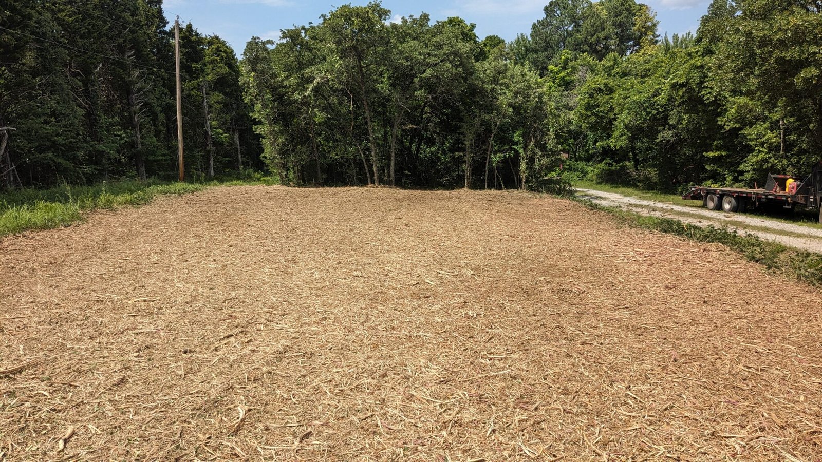 Eco-Friendly Land Clearing: How Forestry Mulching Conserves